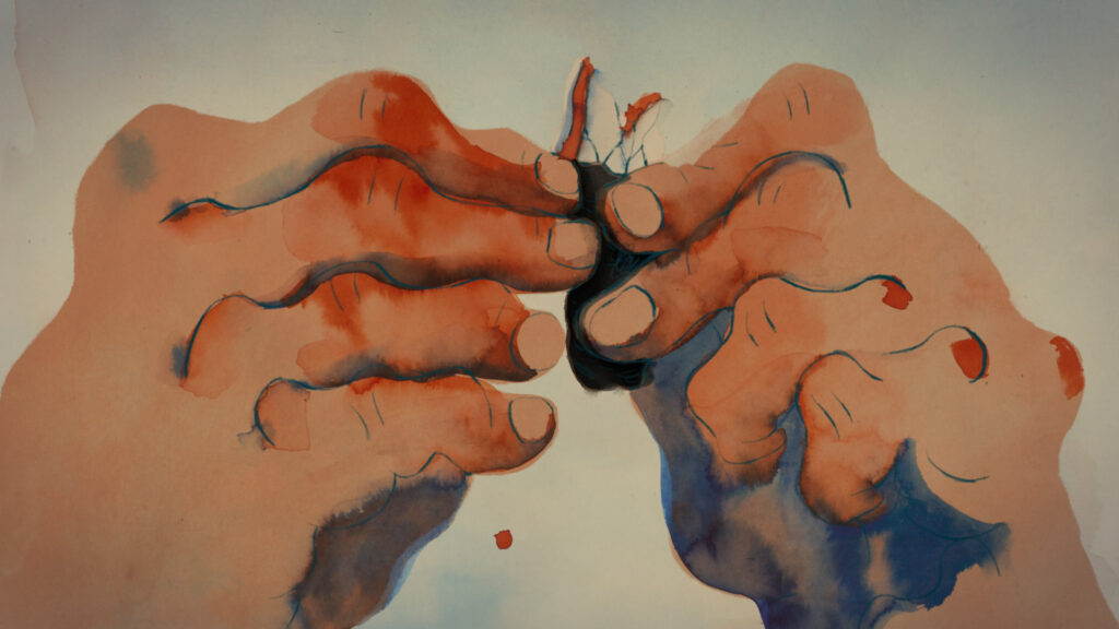 ANIMAC ANNOUNCES THE SELECTION OF FILMS FOR THE OFFICIAL SECTIONS ...